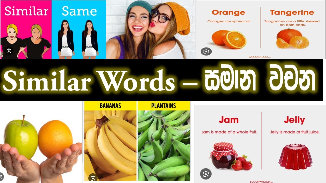 Similar Words 1 Spoken English Vocabulary Lessons ඉංග්‍රීසි ඩිප්ලෝමා ...
