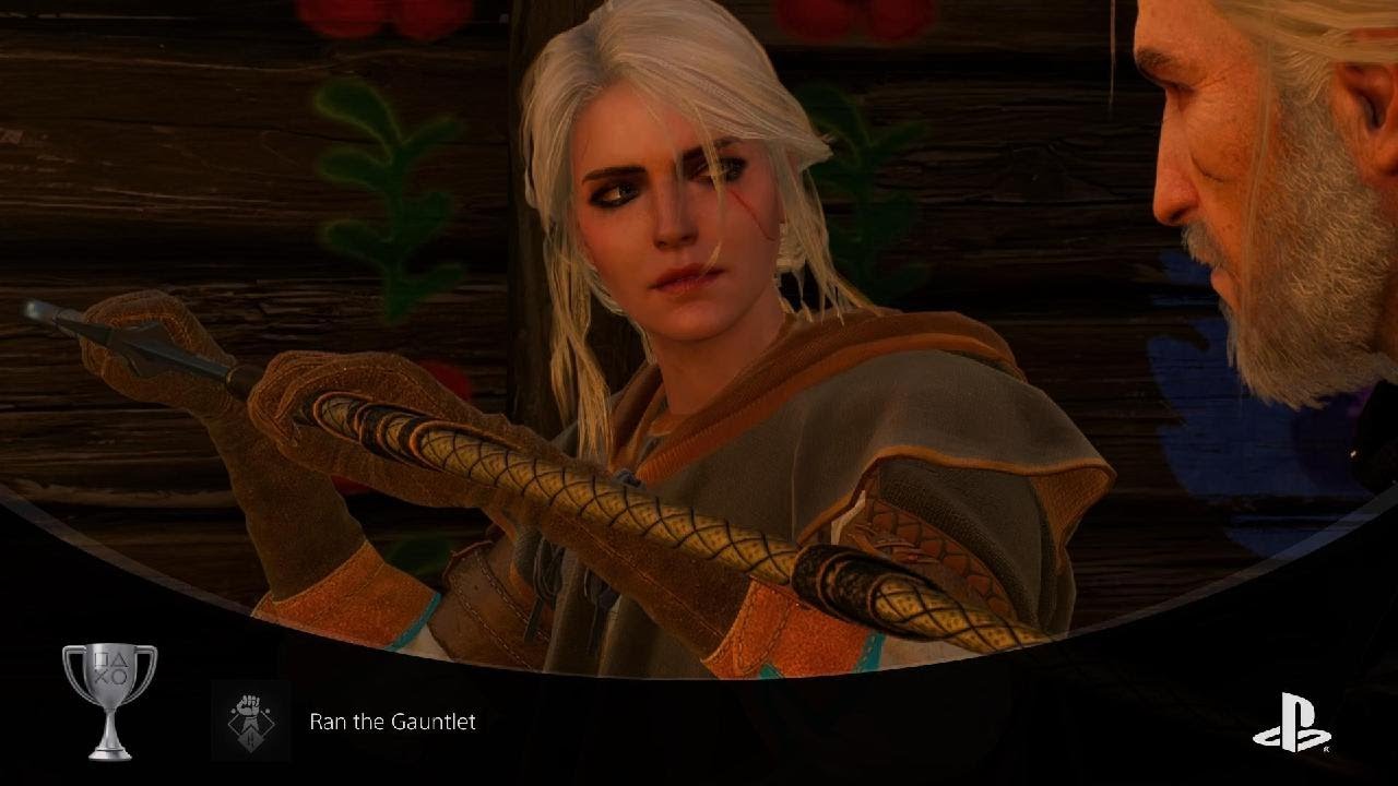 The Witcher 3: Wild Hunt - Complete Edition Run the gauntlet trophy 🏆 ...