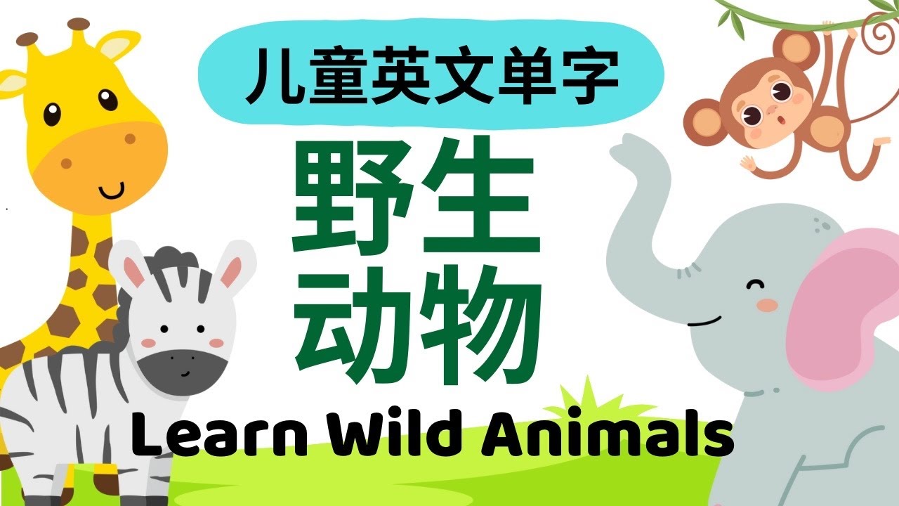 Learn Wild Animals in English & Chinese: Lion, Tiger｜幼儿英文单词｜野生动物词汇 ...