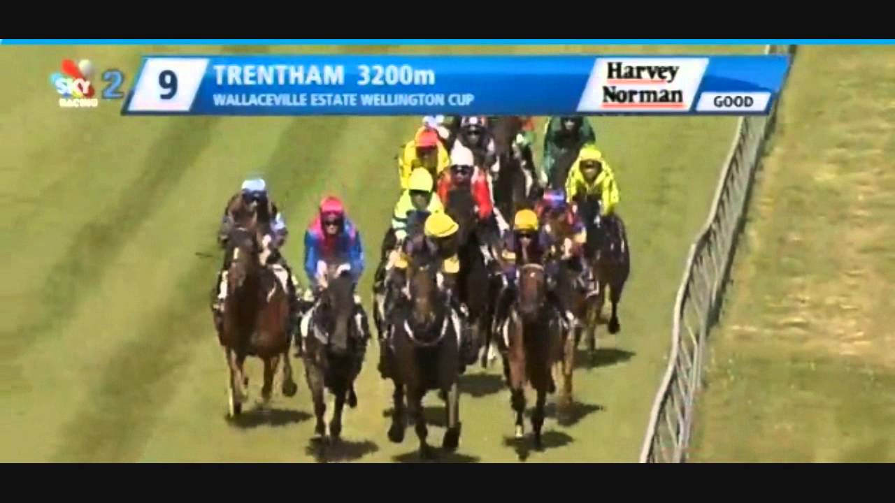 2016 WALLACEVILLE ESTATE Wellington Cup ( NZ ) - YouTube