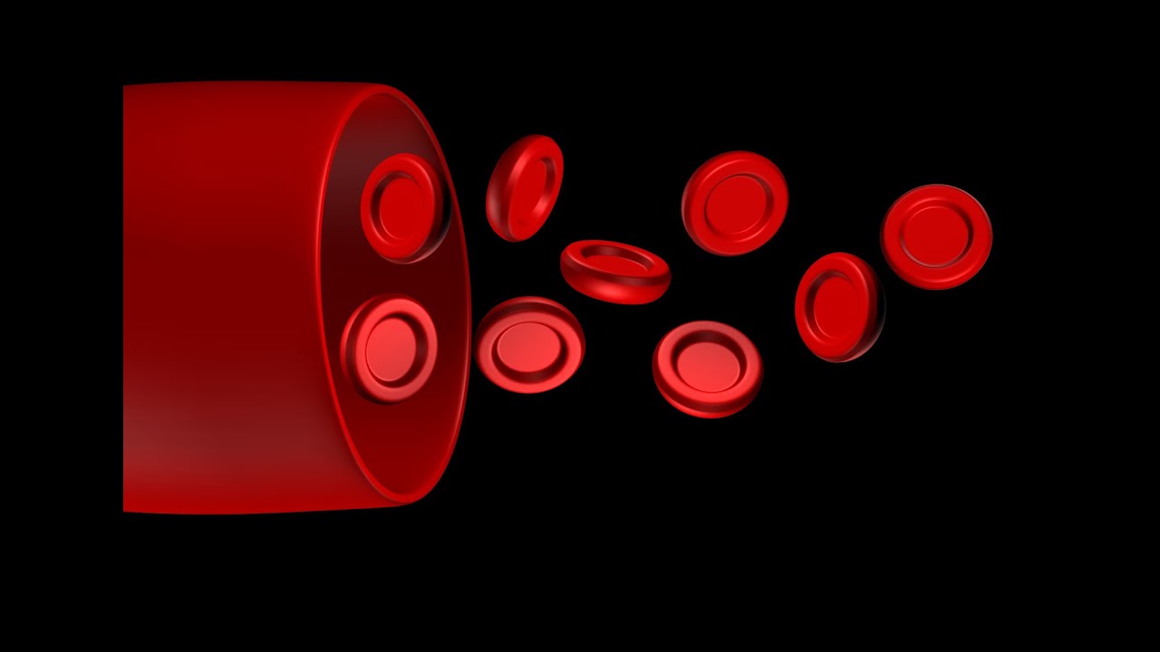 How to make 3D blood vessels and blood cells in just TWO STEPS in ...