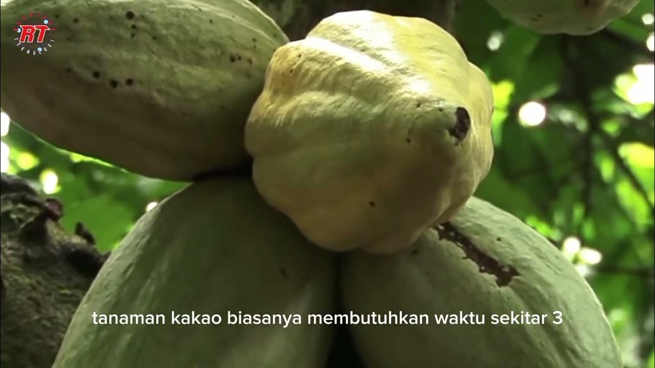 Selective Processes Theory - YouTube