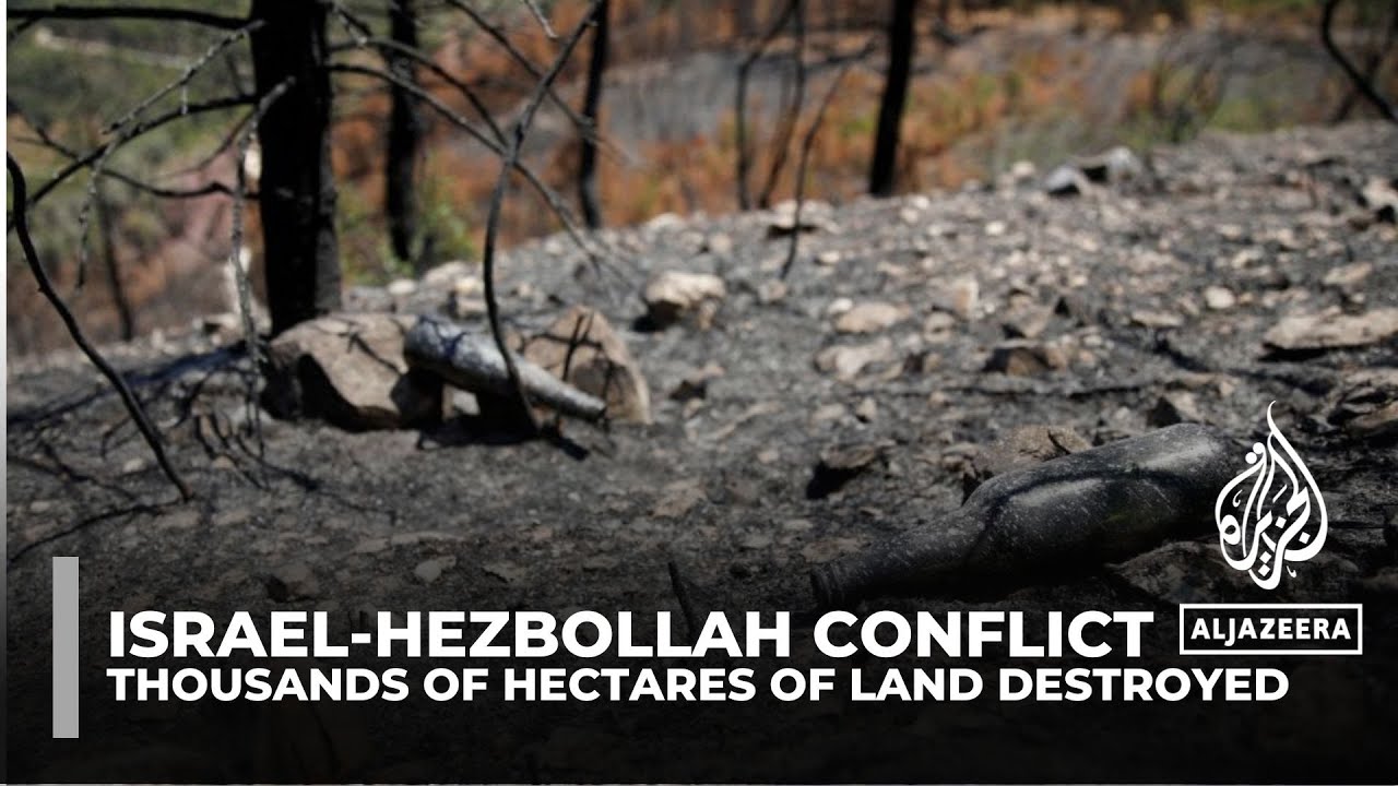 Hezbollah-Israel conflict escalates: Land destroyed on both sides as ...