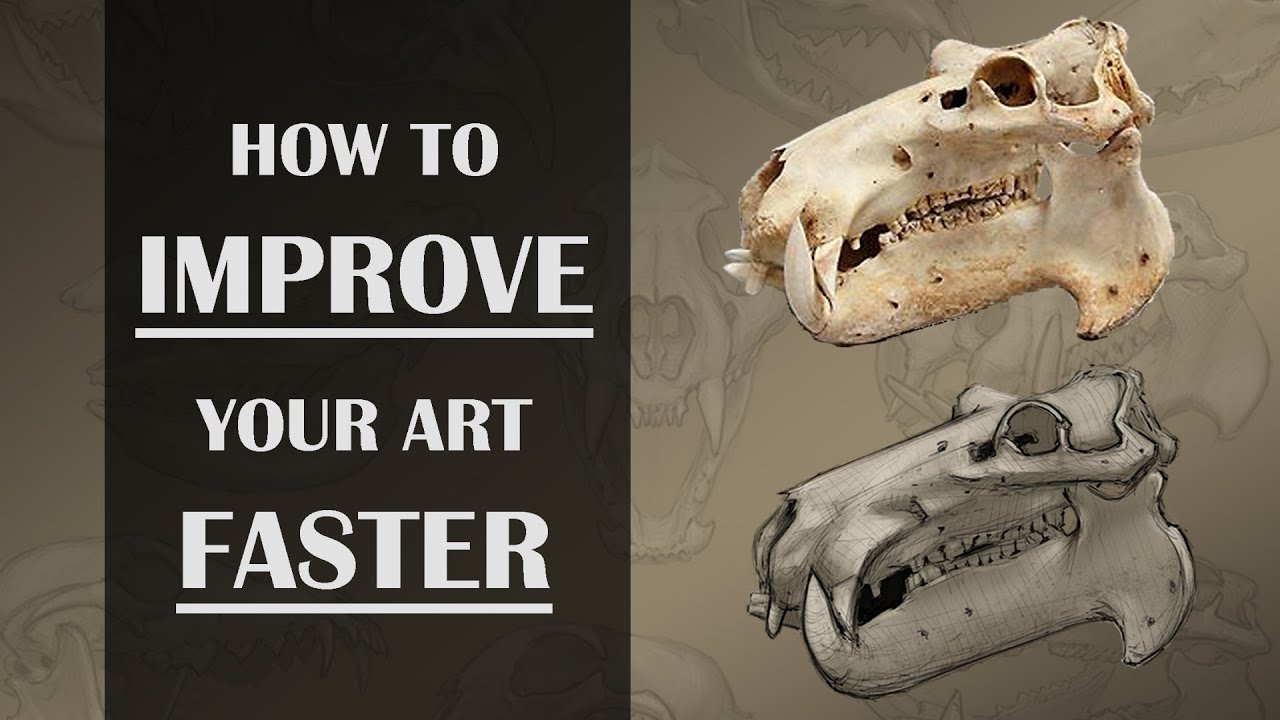 How to Draw a Hippo Skull (Explained) - YouTube