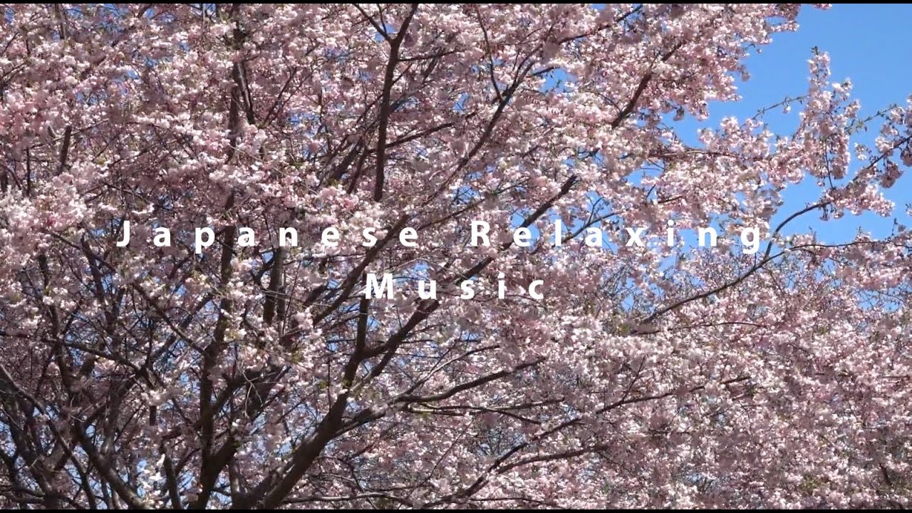 Japanese Relaxing Music [Studying/relaxing] - YouTube