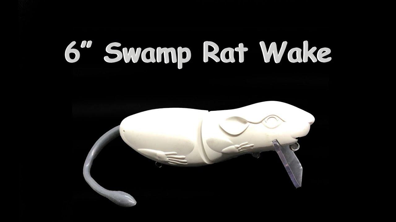 6" Swamp Rat Action - YouTube