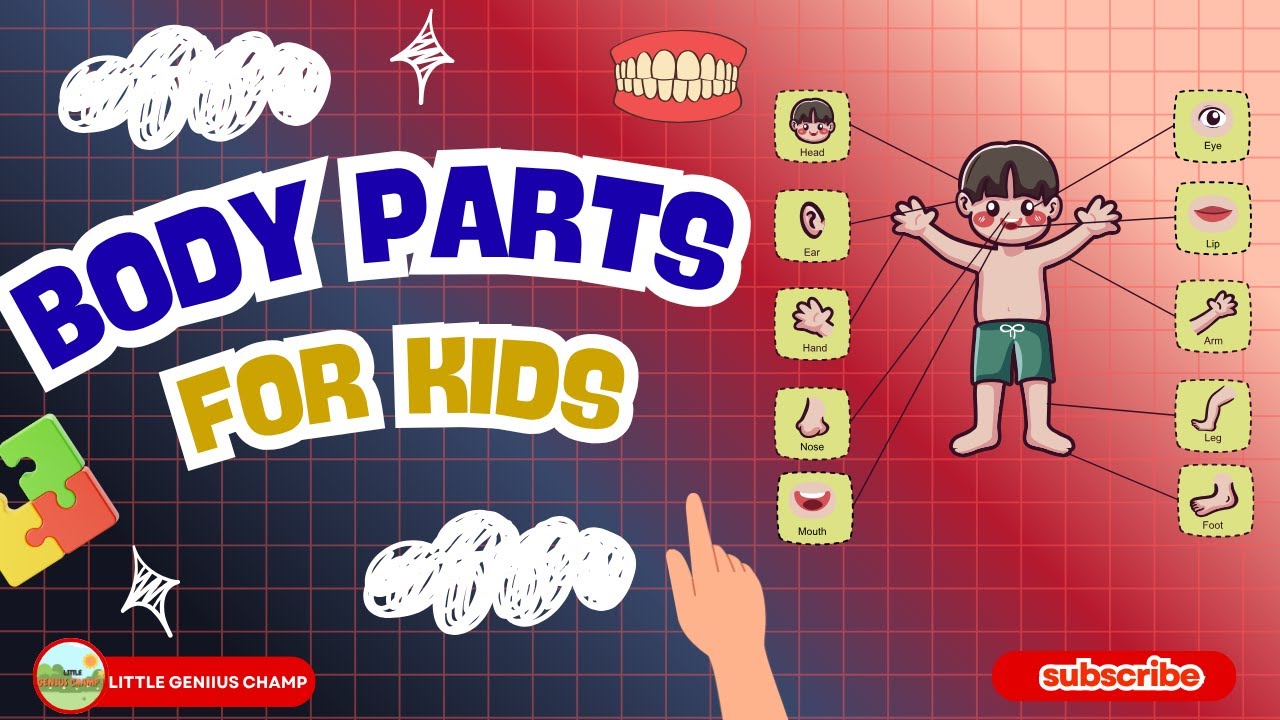 LET’S LEARN BODY PARTS! | Fun Kids Song | Learn Human Body Parts for ...