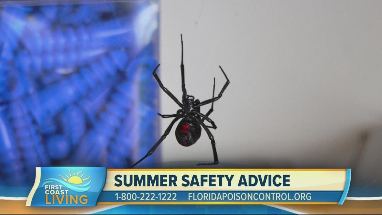 Florida Poison Control Gives Summer Safety Advice (FCL June 22) - YouTube