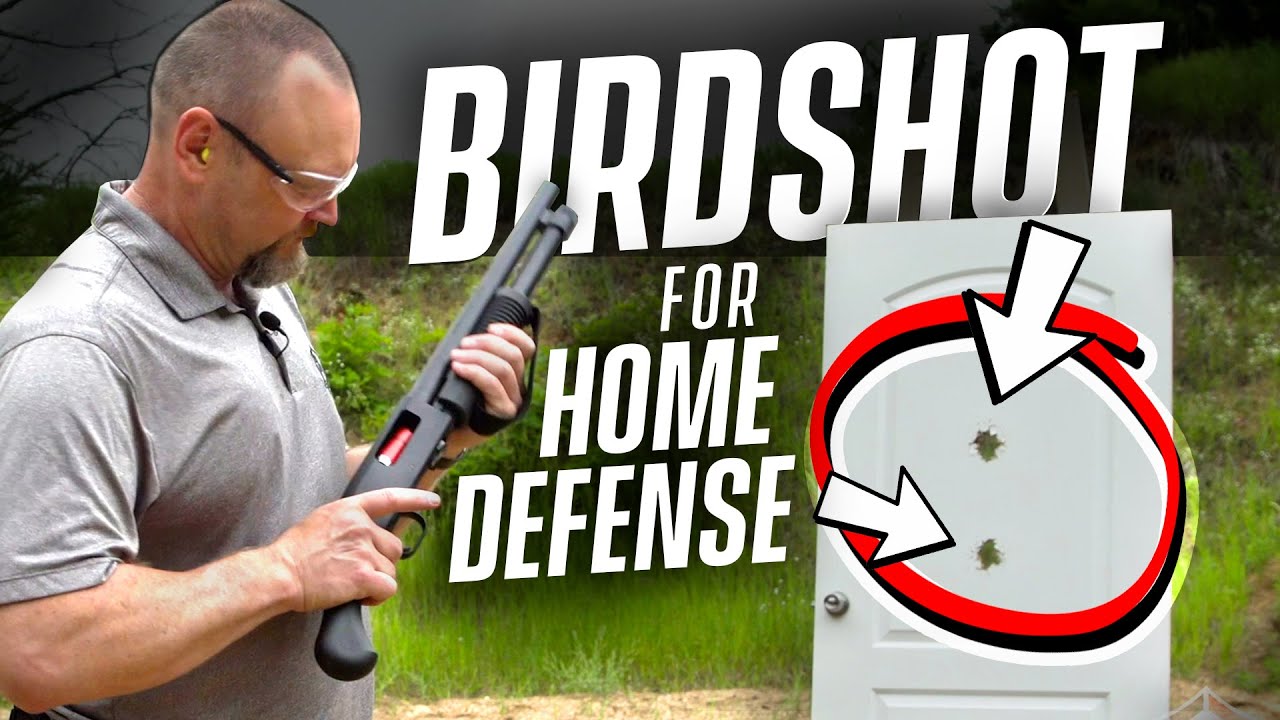 Is Using Birdshot For Home Defense Effective? (Shotgun For Home Defense ...
