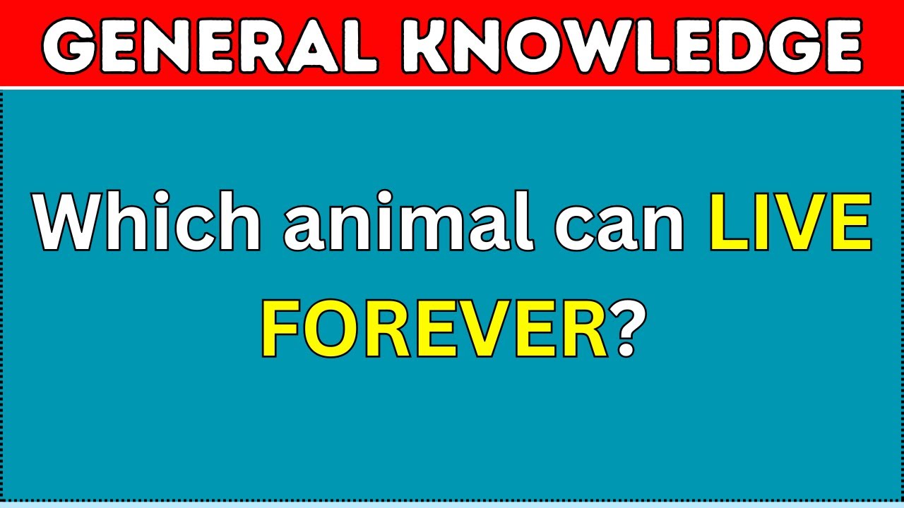 "Can You Score 50/50? 🧠🔥 | Ultimate 50-Question GK Quiz Challenge ...
