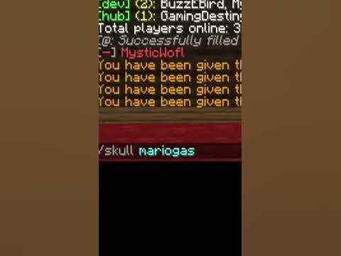 marioGas222 | Comment your name (Java only)! | #playerhead - YouTube