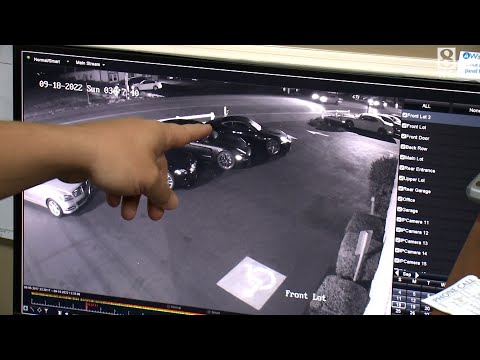 Organized thieves target iconic Dodge muscle cars before they're discontinued