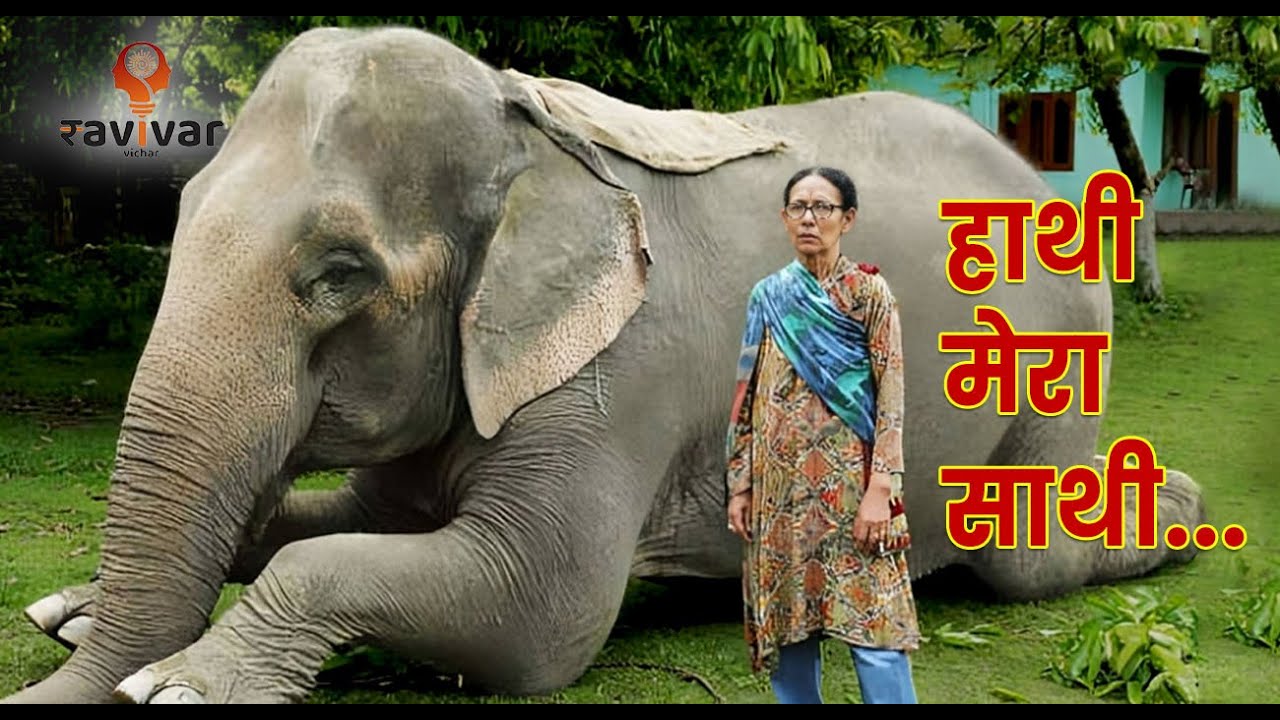 कौन है Parbati Barua? India's First Female Elephant Mahout to be ...