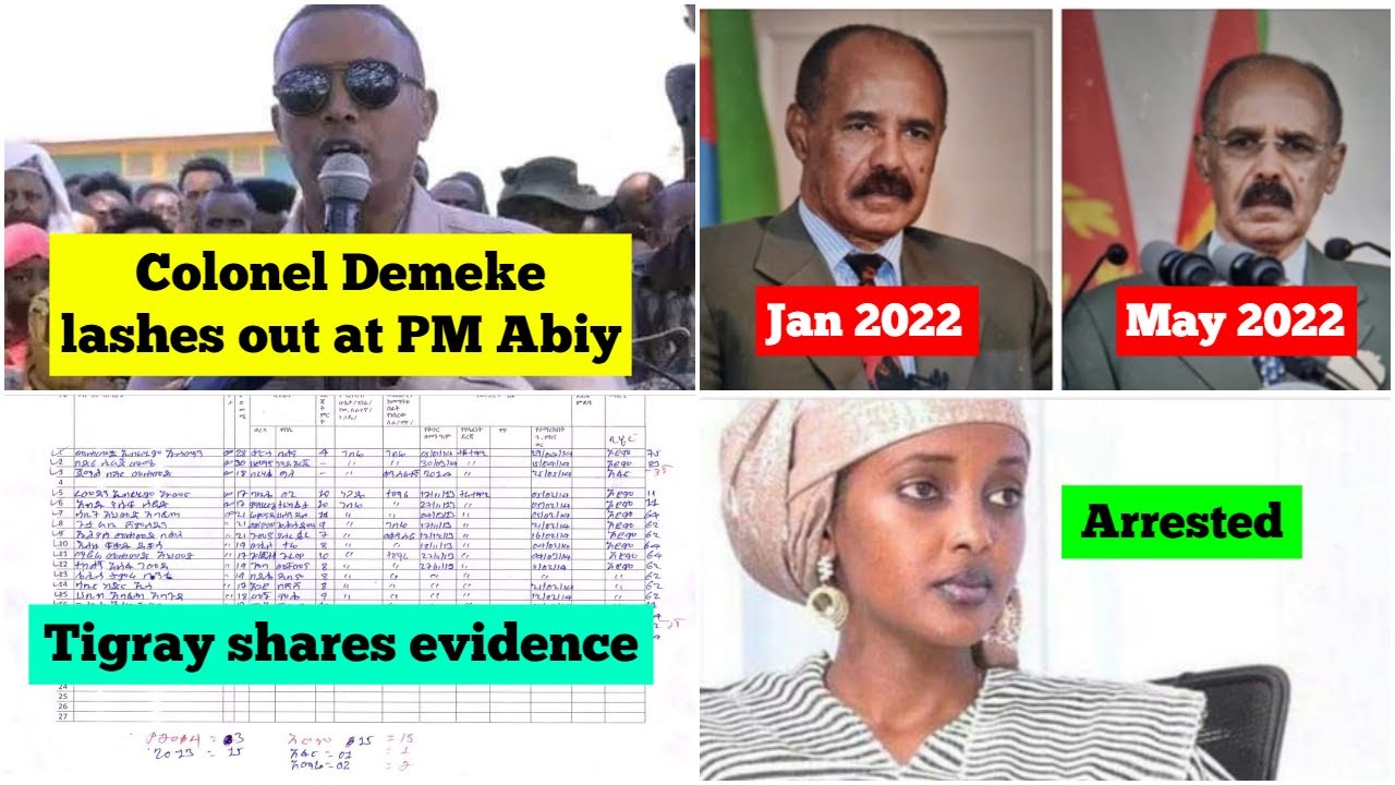 Colonel Demeke lashes out at PM Abiy | Isaias Afwerki | Tigray shares ...