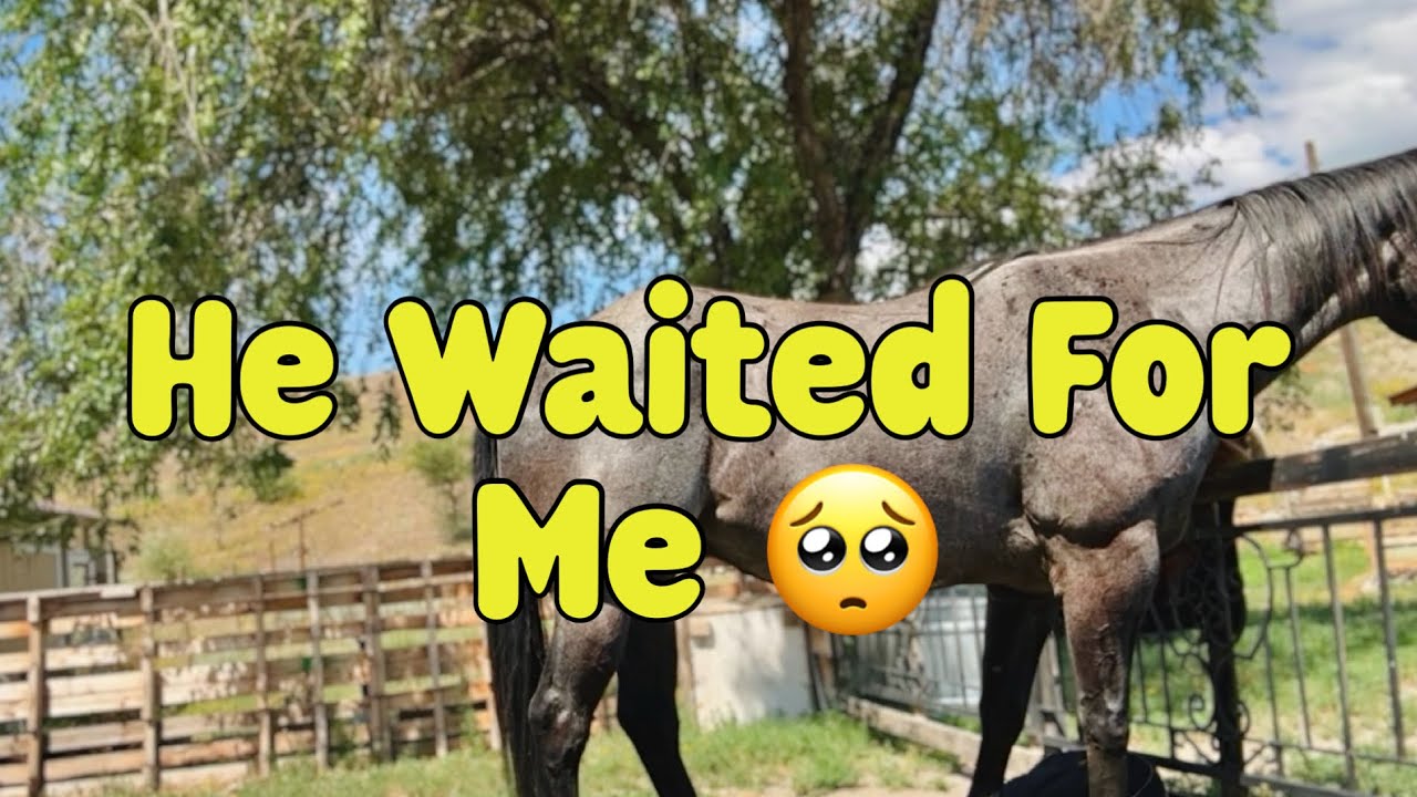 He Came RUNNING - Then Did This…😳😂 - YouTube