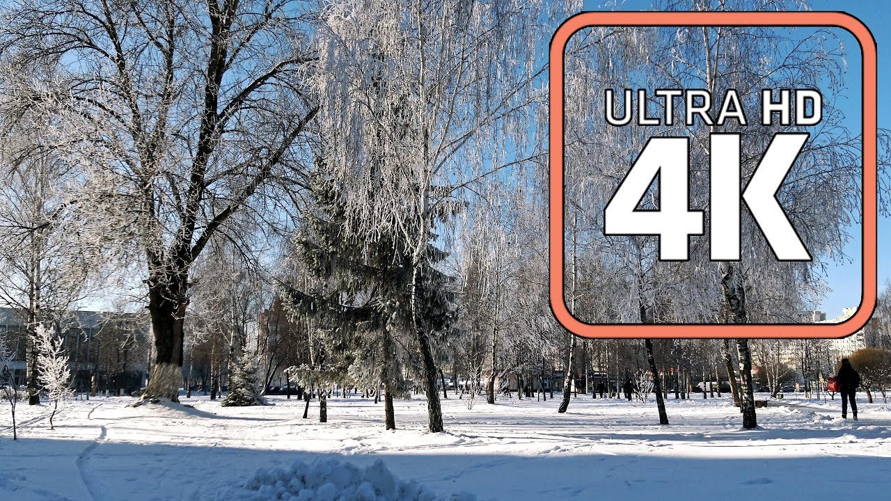 ЗИМА 4К. КРАСИВАЯ ПРИРОДА. ВСЕ В СНЕГУ. БЕЛЫМ БЕЛО. Winter 4К - YouTube