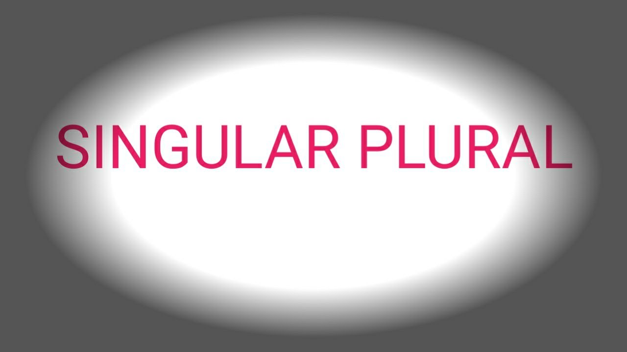 Singular Noun plural Noun s es ies ves Rules tips And Tricks singular-noun-plural-noun-s-es-ies-ves-rules-tips-and-tricks