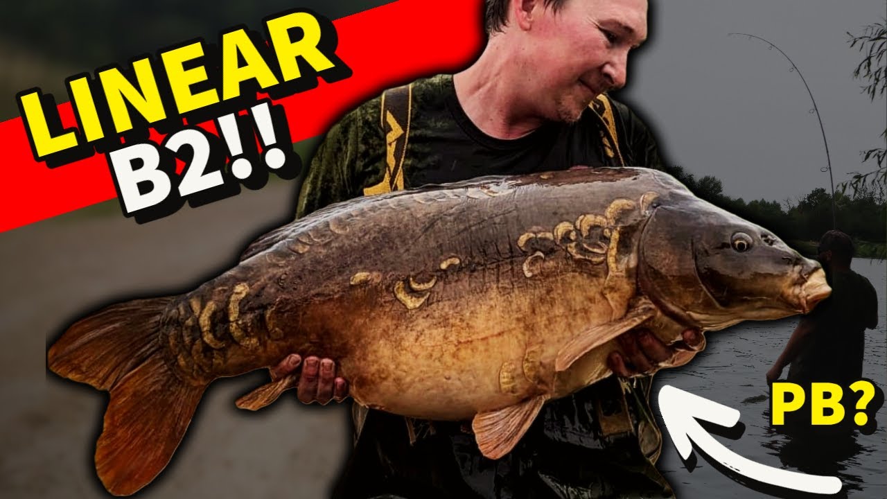 TAKING ON B2 LINEAR FISHERIES !! CARP FISHING !! - YouTube