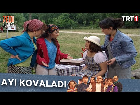 Piknikte Ayı Saldırısı | Yedi Numara 33. Bölüm