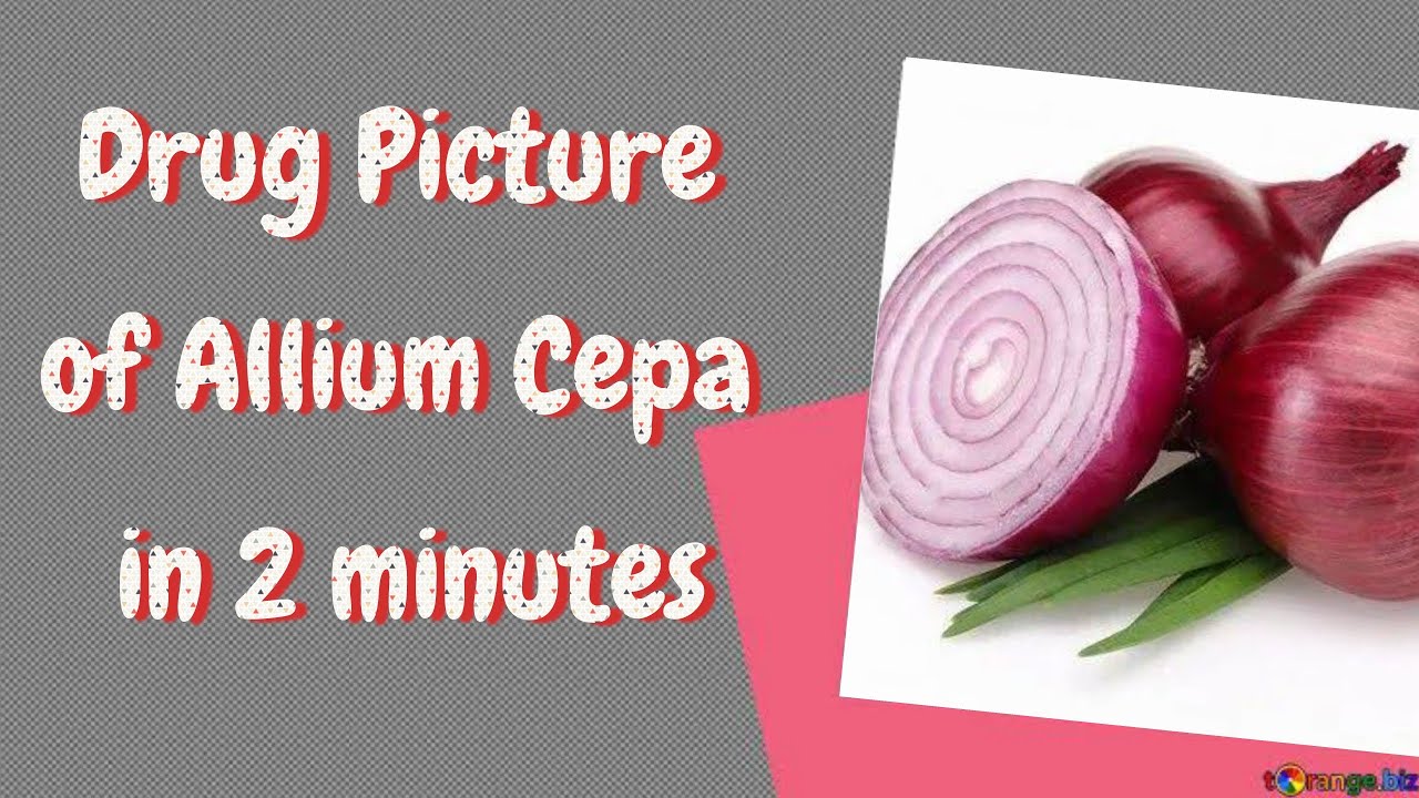 Allium cepa drug picture | Homeopathic drug picture | homeopathic ...