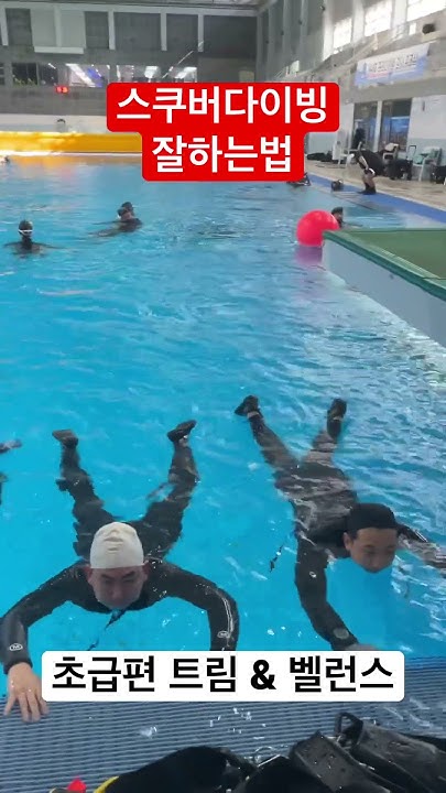 스쿠버다이빙잘하는법 초급편 트림 And 벨런스 플로그킥 기초편 벨런스 잡기 및 프로그킥 자세잡기 스쿠버라인 당진스쿠버팀 수원월드컵다이빙풀장 Youtube
