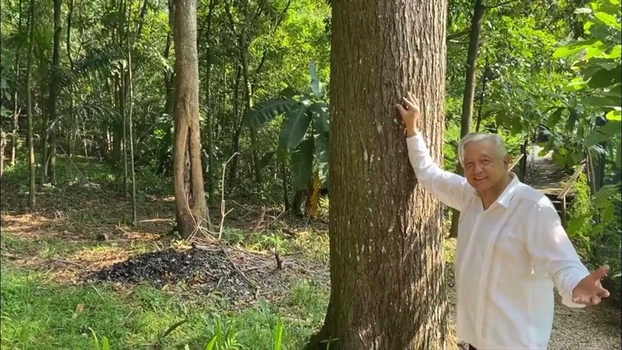 Celebra AMLO su cumpleaños 69 con su familia en su quinta de Palenque - YouTube