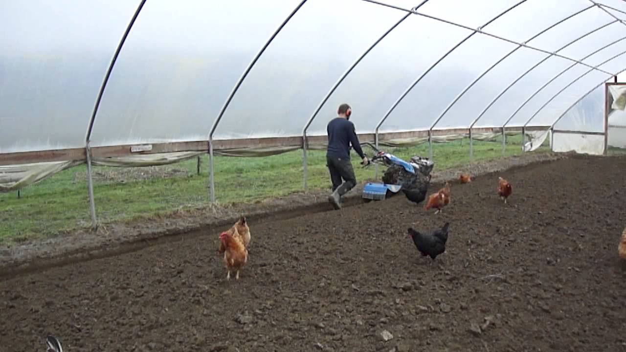 BCS Walk-Behind Tractor with Berta Rotary Plow - YouTube