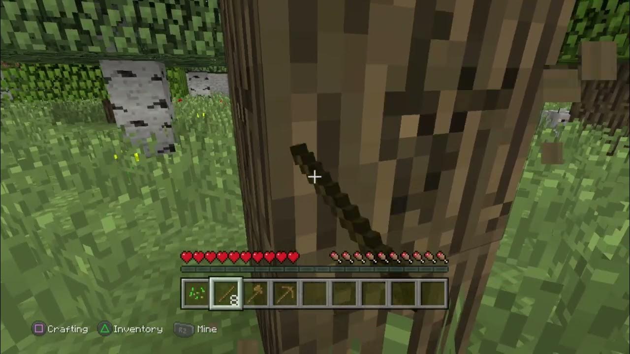 Minecraft: Playstation 3 Edition. Tutorial World. (RPCS3) - YouTube