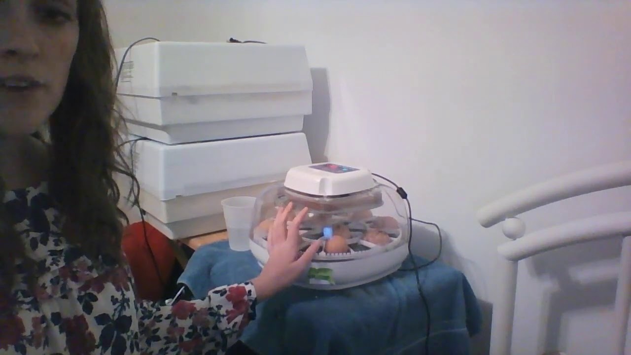 Life Cycle Experiment Video 1 YouTube life-cycle-experiment-video-1-youtube