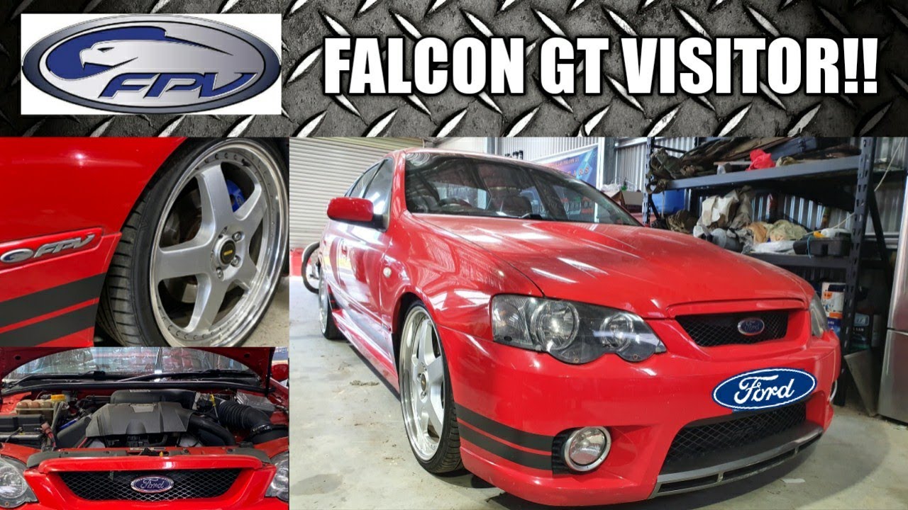 Ford Falcon BA FPV GT 290 Boss | Introducing Frankie's Daily with ...