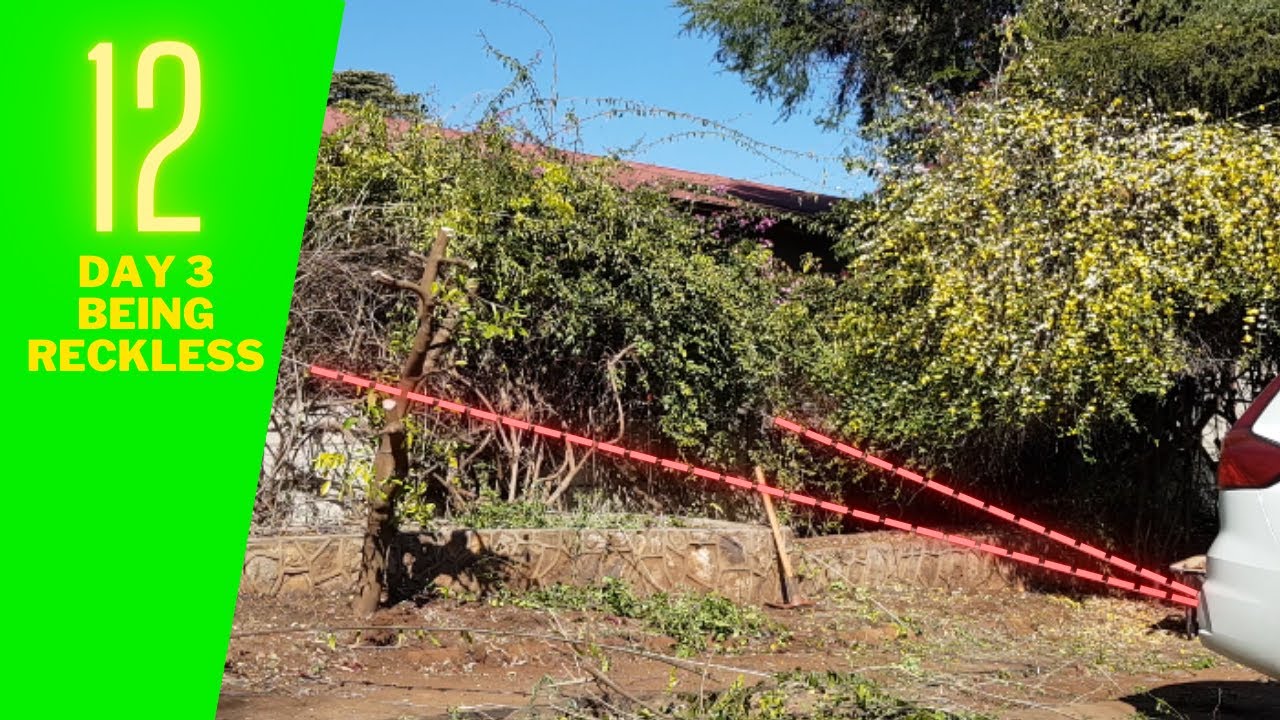 Video 12 Day three Being Reckless - YouTube