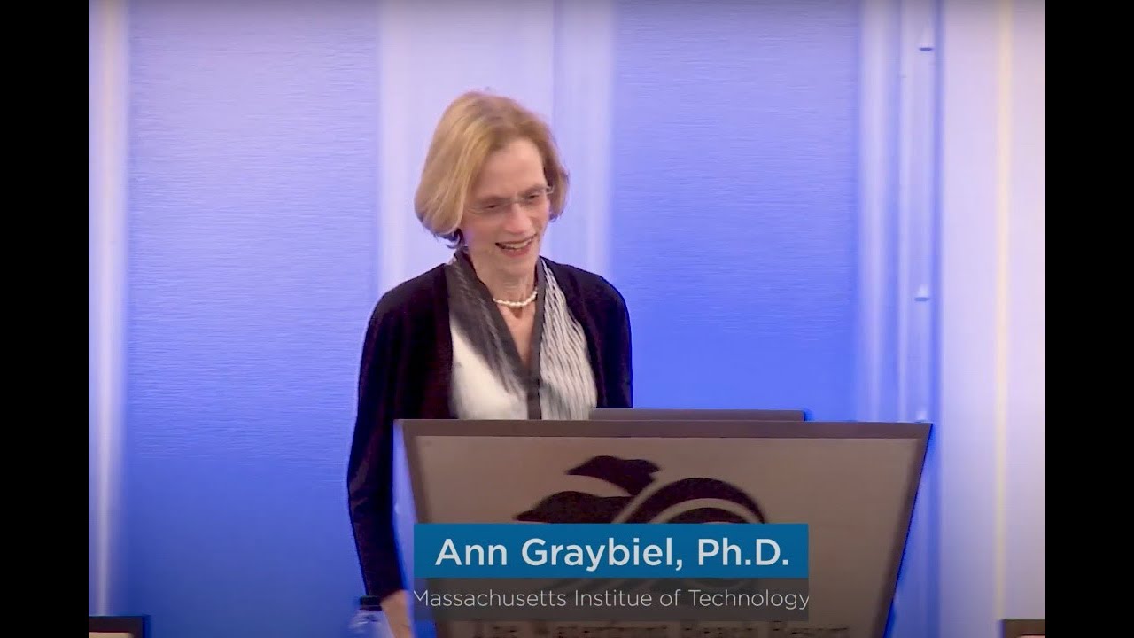 Building Action Repertoires on Value: Corticostriatal Dynamics | Ann ...