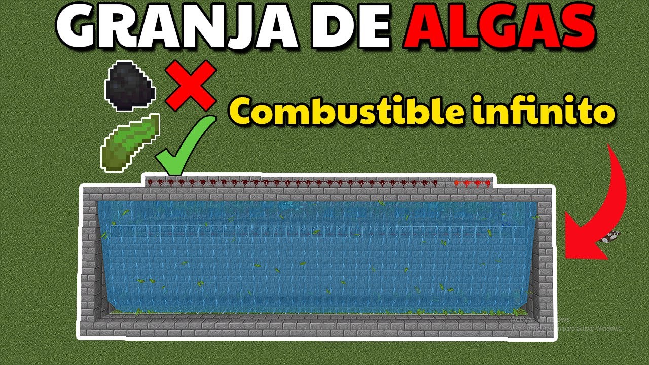 GRANJA DE ALGAS AUTOMATICA (EXPANDIBLE) | MINECRAFT BEDROCK 1.19 - YouTube