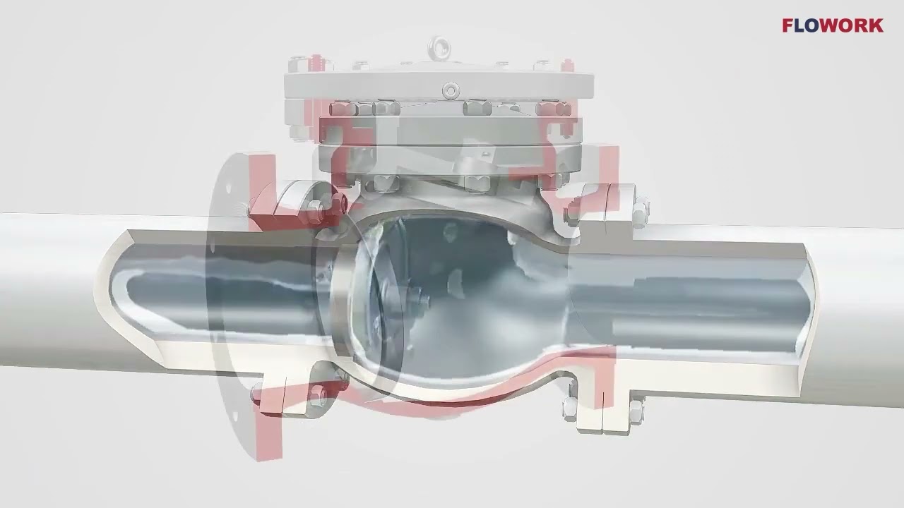 Lift Check Valve Animation