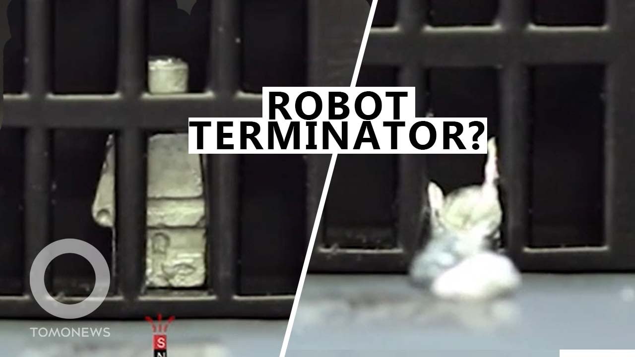 Robot Humanoid Ini Bisa Mencair dan Berubah Bentuk! - YouTube
