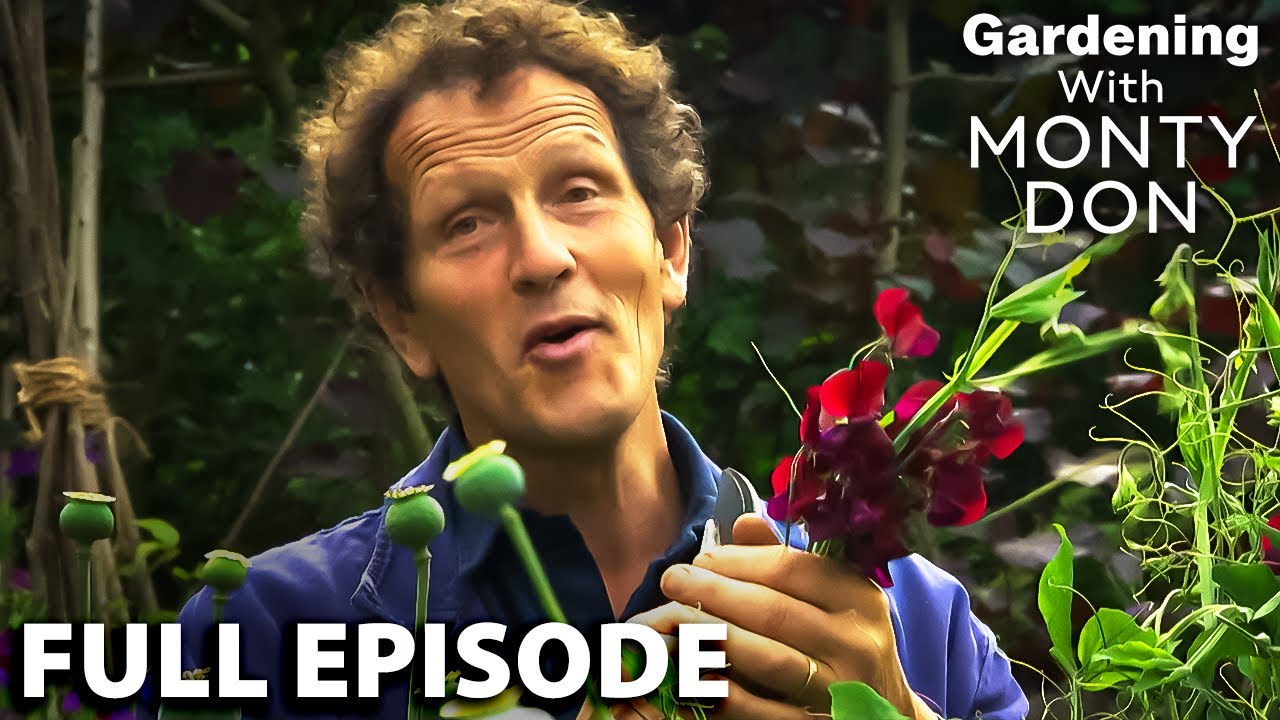 The Best Summer Gardening Tips! ☀️ | S1 E15 | Gardeners' World ...