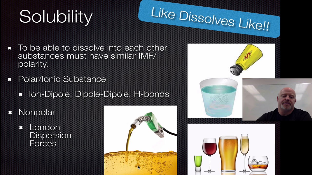 IMF and Solubility - YouTube