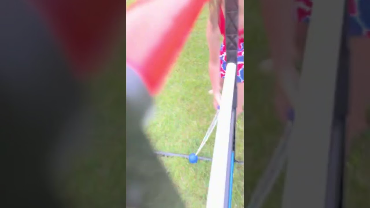 dream and dripped out capybara play outside - YouTube