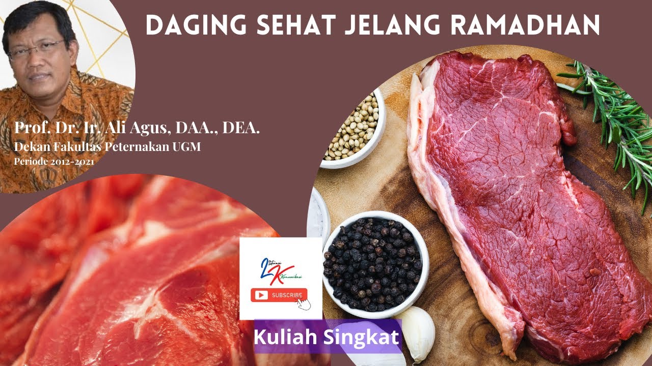 Daging Sehat Jelang Ramadhan - YouTube