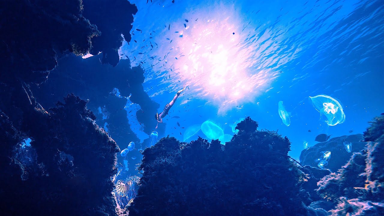 StarLink - Deep Blue - YouTube