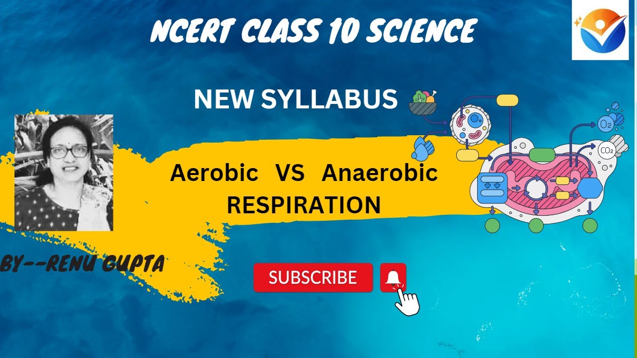 Aerobic and Anaerobic respiration | Life processes-Respiration | NCERT ...