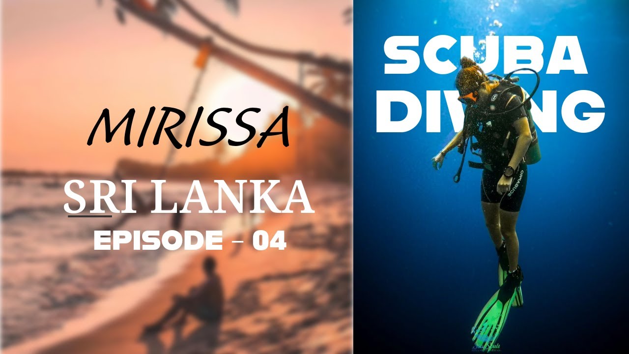 SRI LANKA | VLOG | SCUBA DIVING | MIRISSA | EPISODE 04 - YouTube