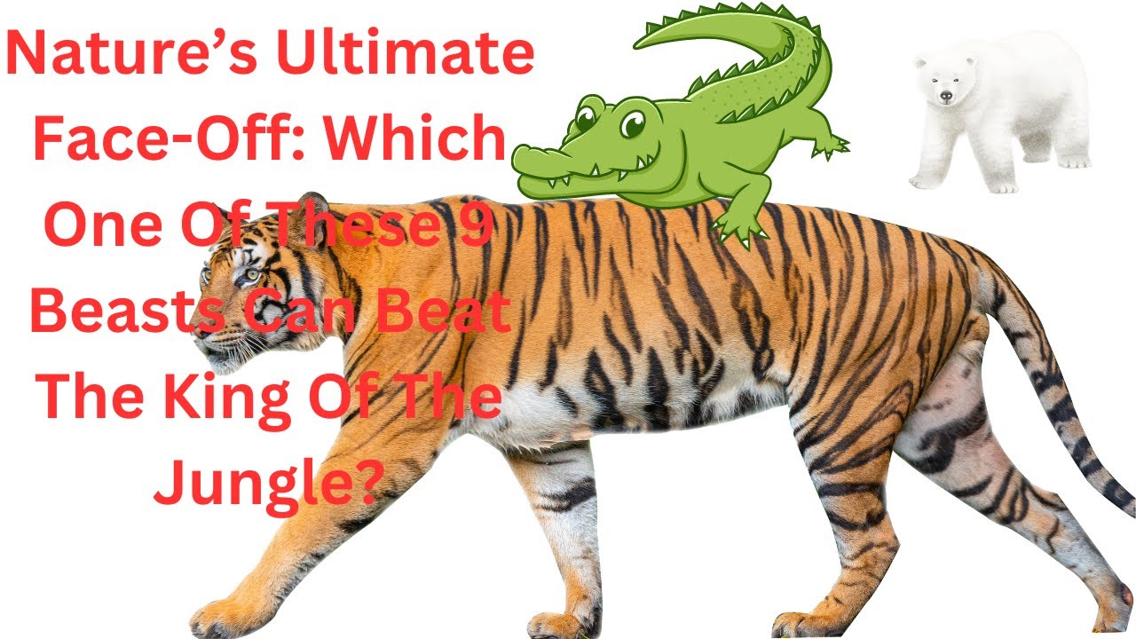 "Unbelievable Beasts That Can Defeat a Lion? Nature's Top 9 Shocking ...