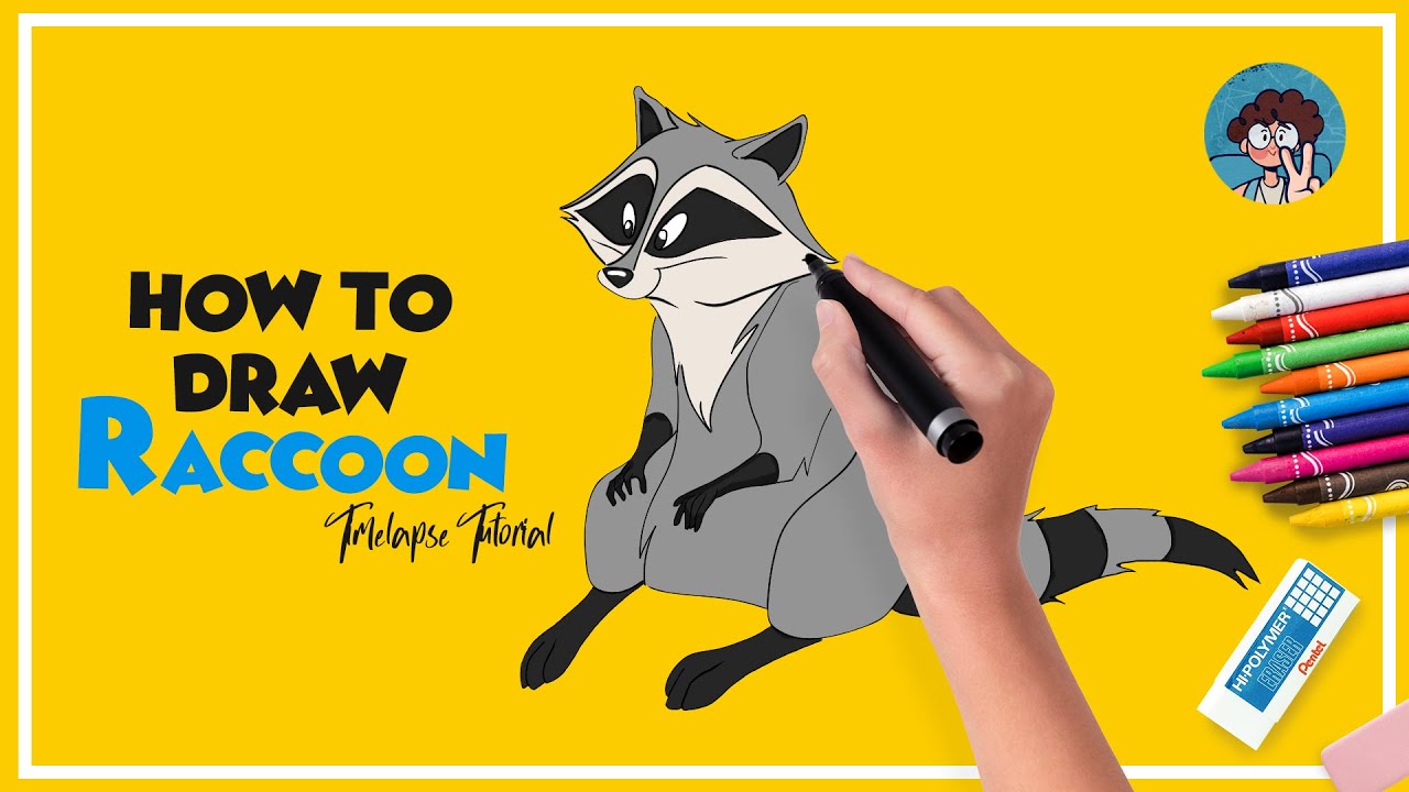 How to draw a cartoon raccoon - YouTube