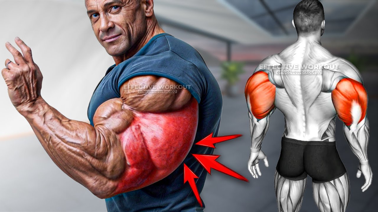 8 Most Effective TRICEPS Exercises - YouTube