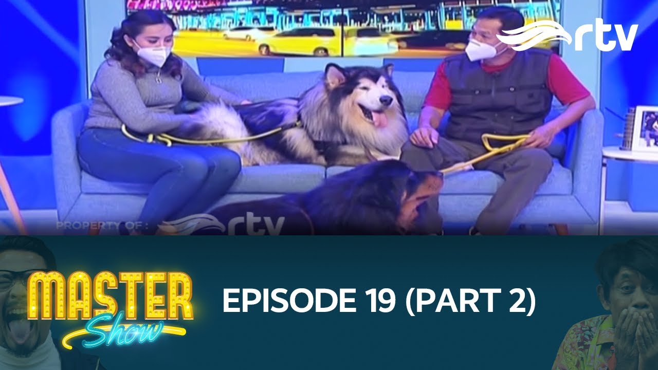 Master Show RTV: Mencengangkan !! Bukan Main Harga Anjing Ini - YouTube