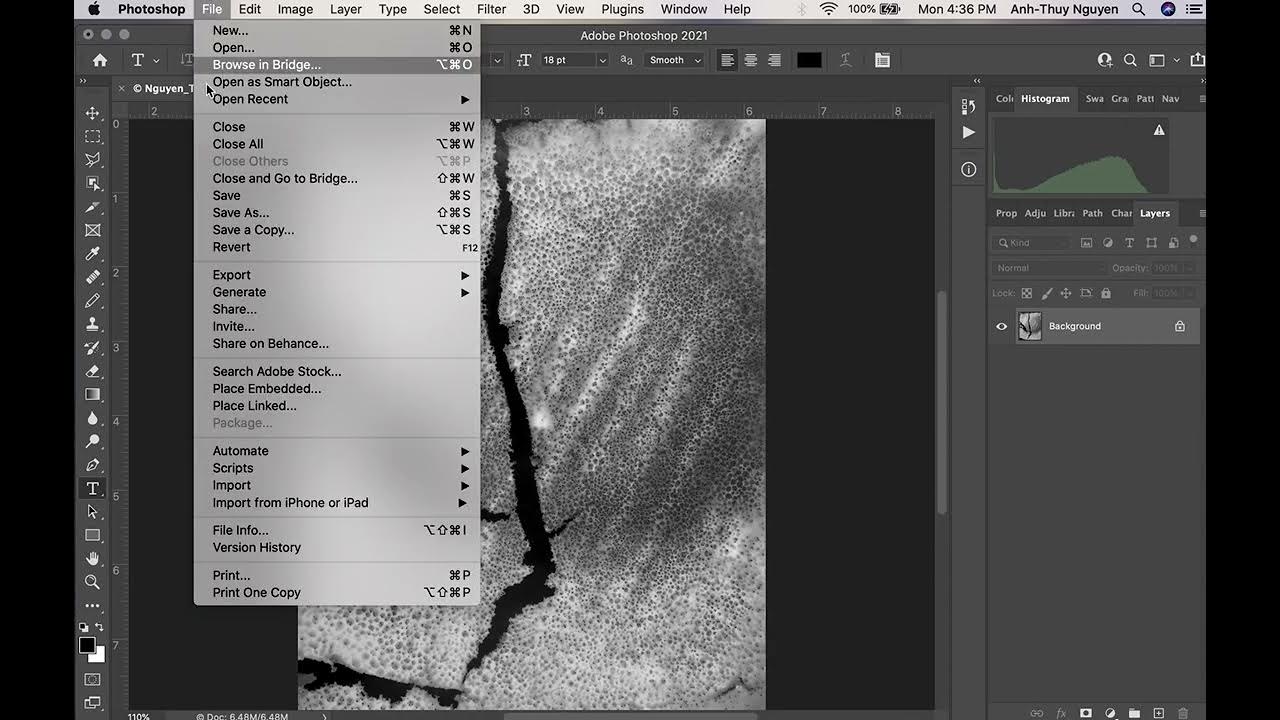 How to create JPEG file with lower resolution and custom pixel ...