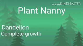 Dandelion Plant Nanny level 1,2,3,4