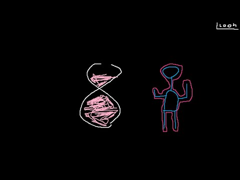 first day with primordial.dev (cs2) - YouTube