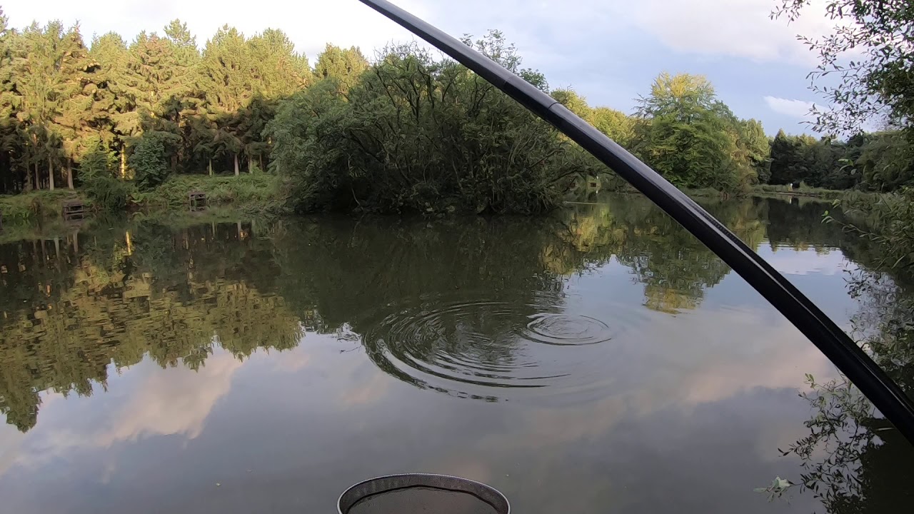 Pole fishing for carp - YouTube